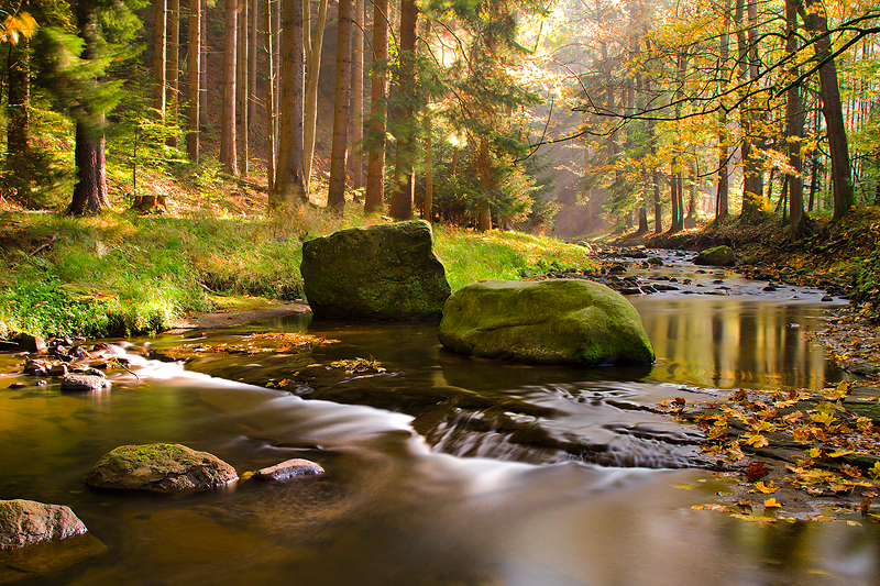 Řeka Kamenice | Jiří Presl